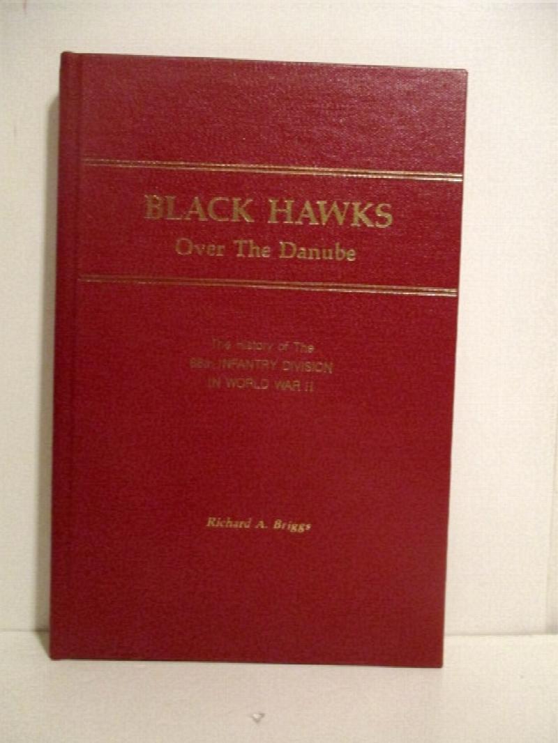 History of the 313th Infantry in World War II.